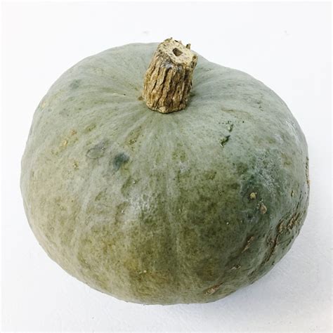 Kabocha squash 10-15 lbs – Local produce grown with organic practices
